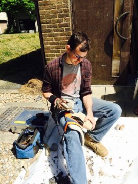 Research: Eating bone marrow played a key role in the evolution of the ...