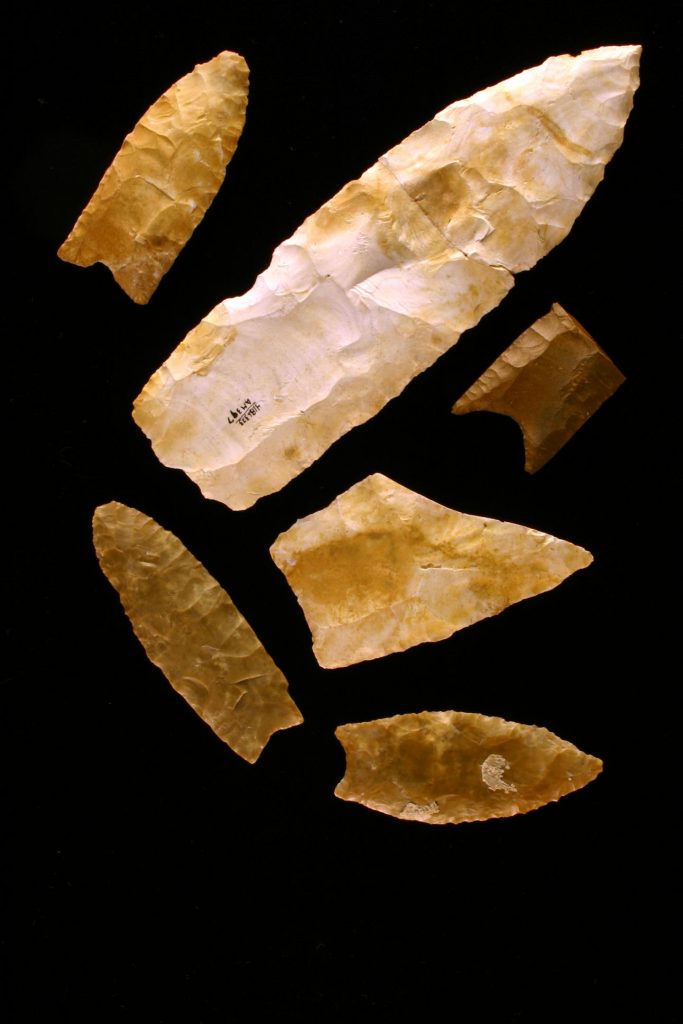 Archaeology: Texas A&M expert: New clues revealed about Clovis people ...