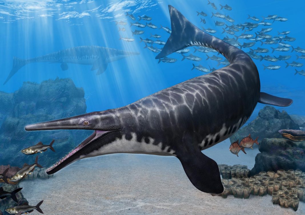 Research: Paleontologists identify new species of mosasaur (TDnews ...