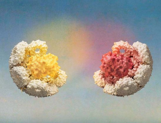 Researchers unveil programmable biological cages - Tdnews