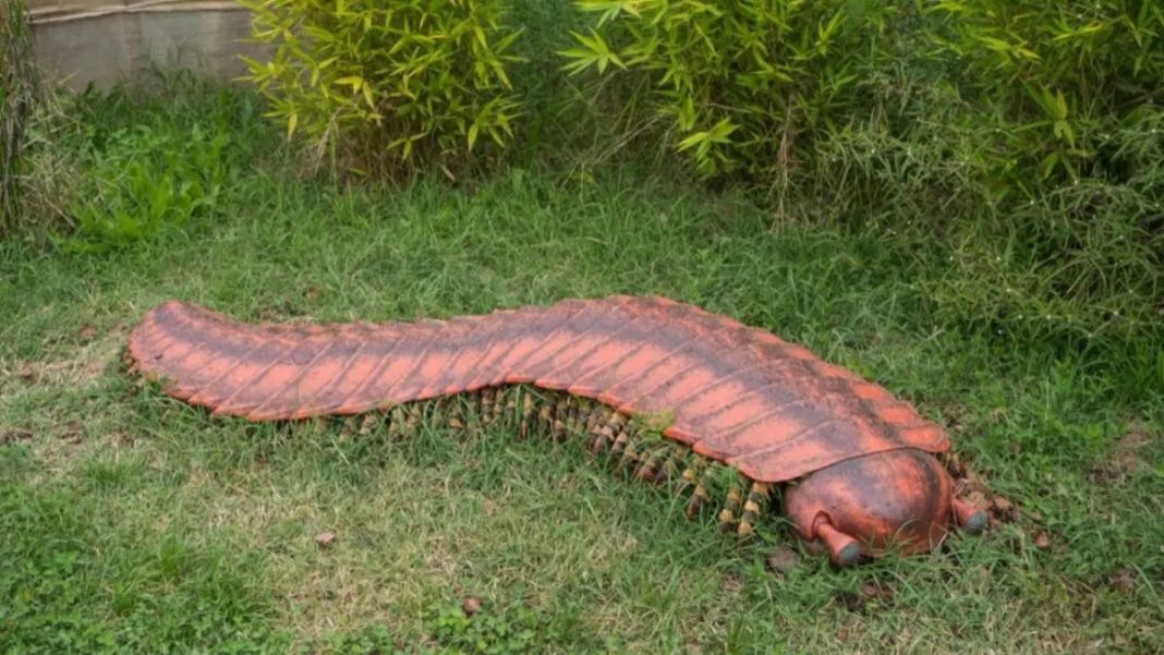 Unveiling the Secrets of Arthropleura: The Ancient Giant of the Earth ...